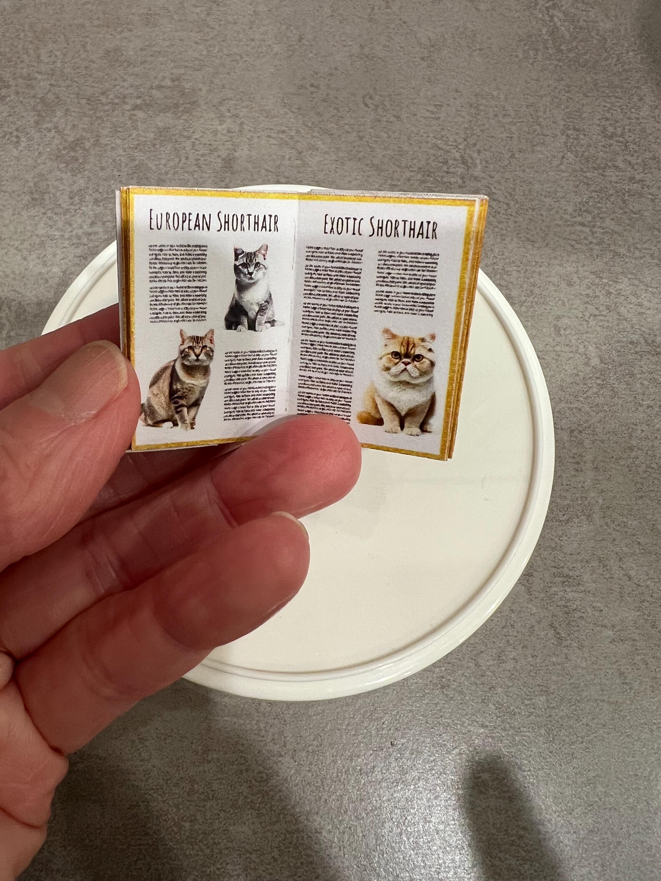 CAT ENCYCLOPEDIA - A Printable Miniature Illustrated Book With Sleeve ...