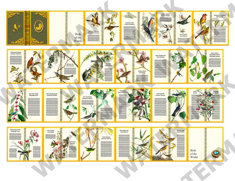BIRD ENCYCLOPEDIA - A Printable Miniature Illustrated Book - Etsy