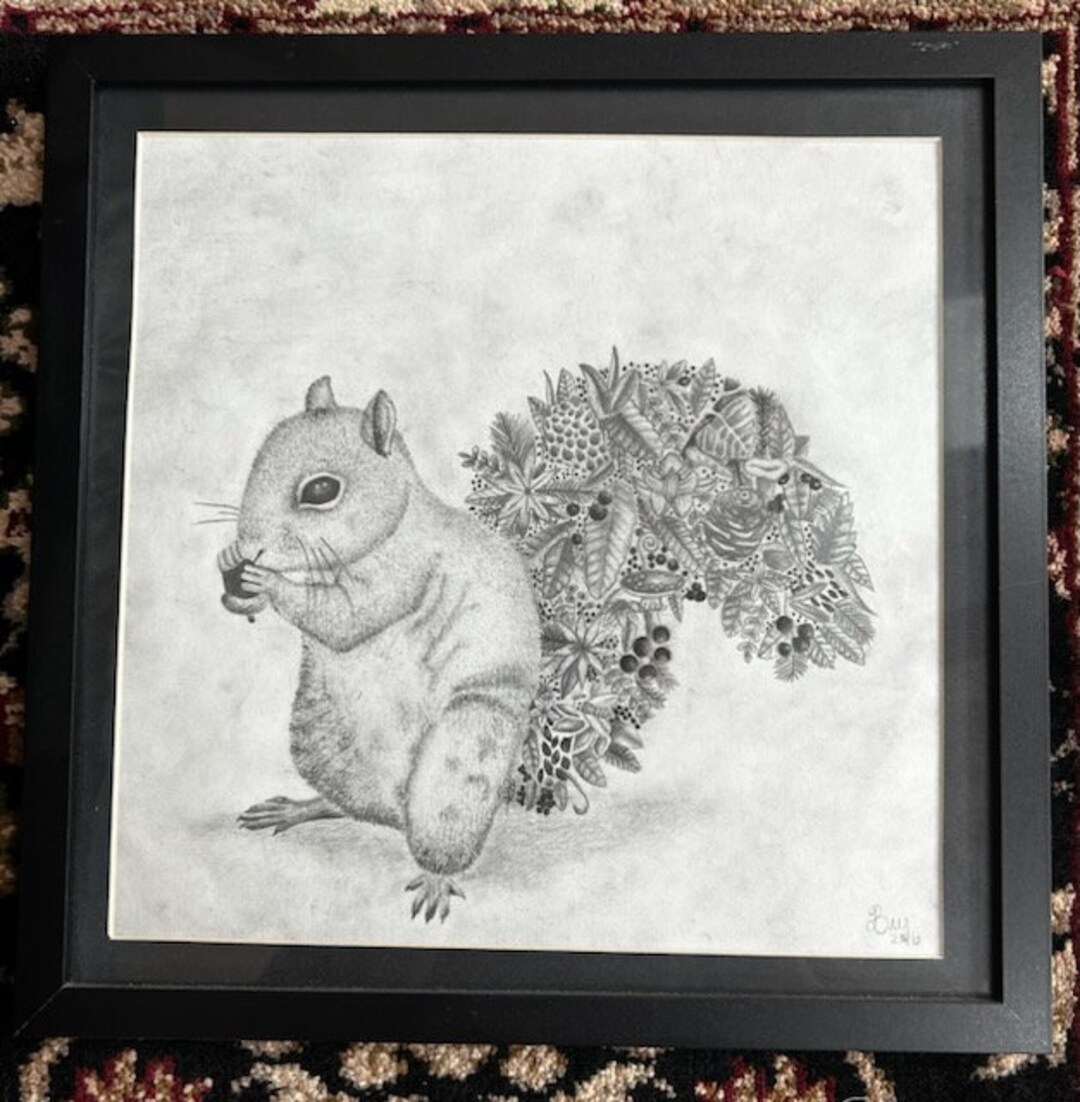 Graphite Squirrel With Plants - Etsy