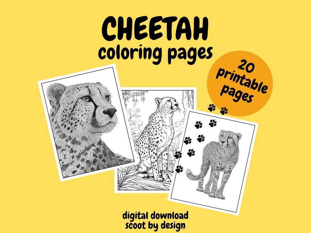Cheetah Coloring Pages | Printable Jungle Animal Coloring Sheets for ...