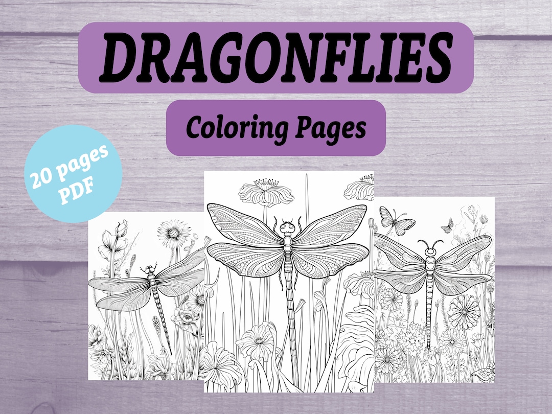 Dragonfly Coloring Pages, Dragonfly Coloring Sheets, Great for Kids and ...
