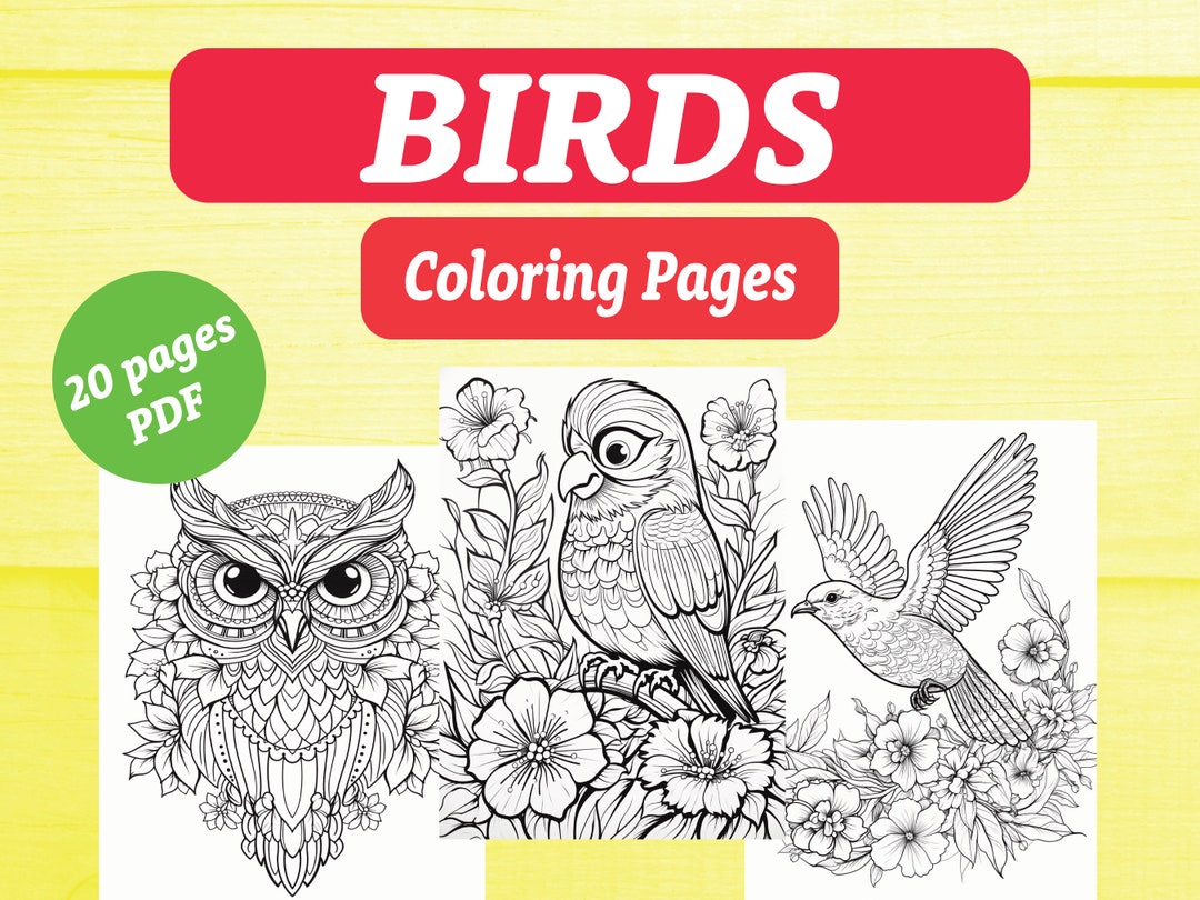 Bird Coloring Sheets, Kids Coloring Sheets, Wildlife Coloring Pages ...