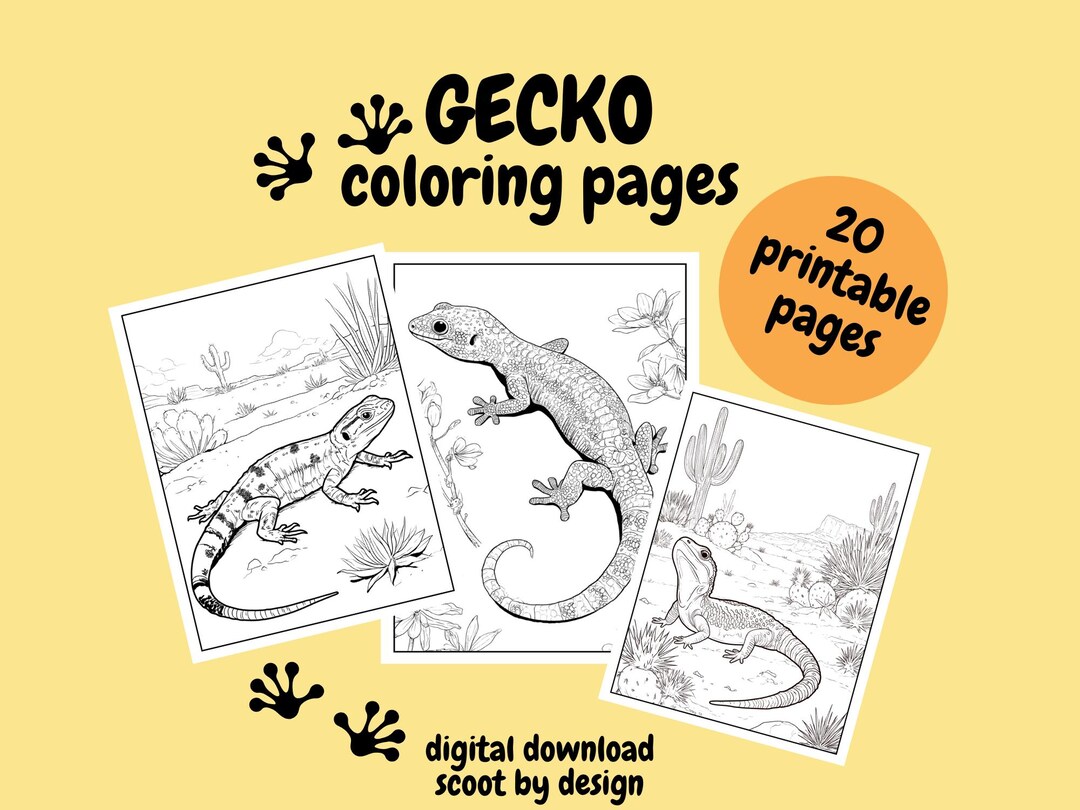 Gecko Coloring Pages, Coloring Pages for Kids and Adults, Geckos ...