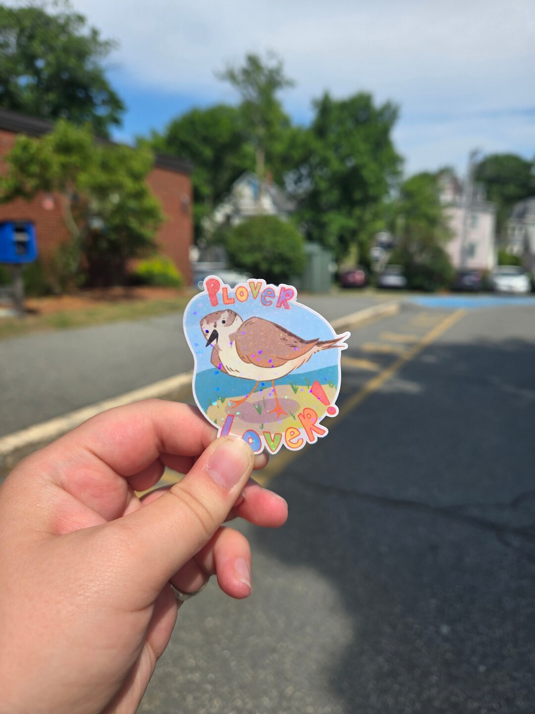 Piping Plover Sticker - Etsy