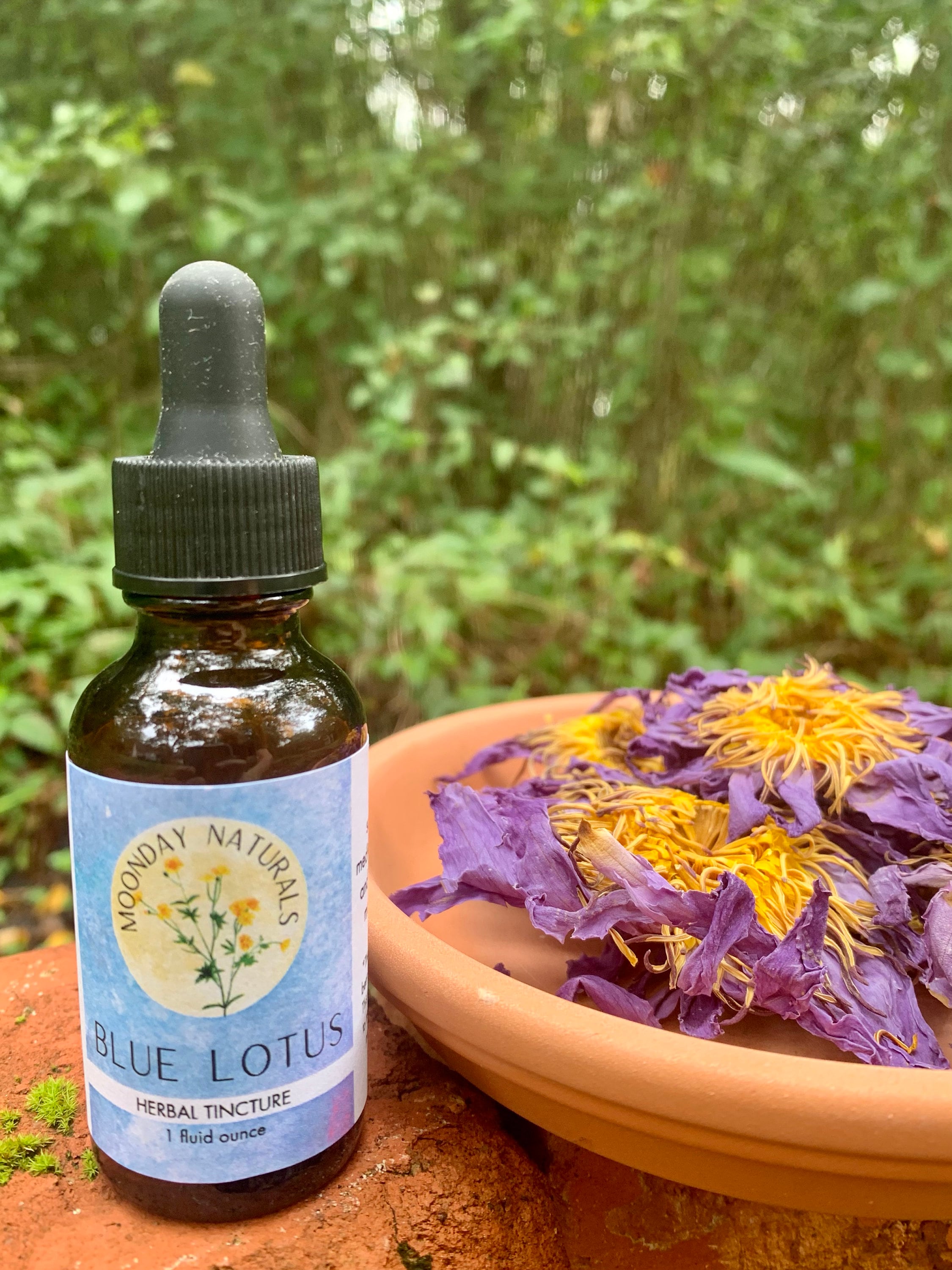 Blue Lotus Tincture - Etsy