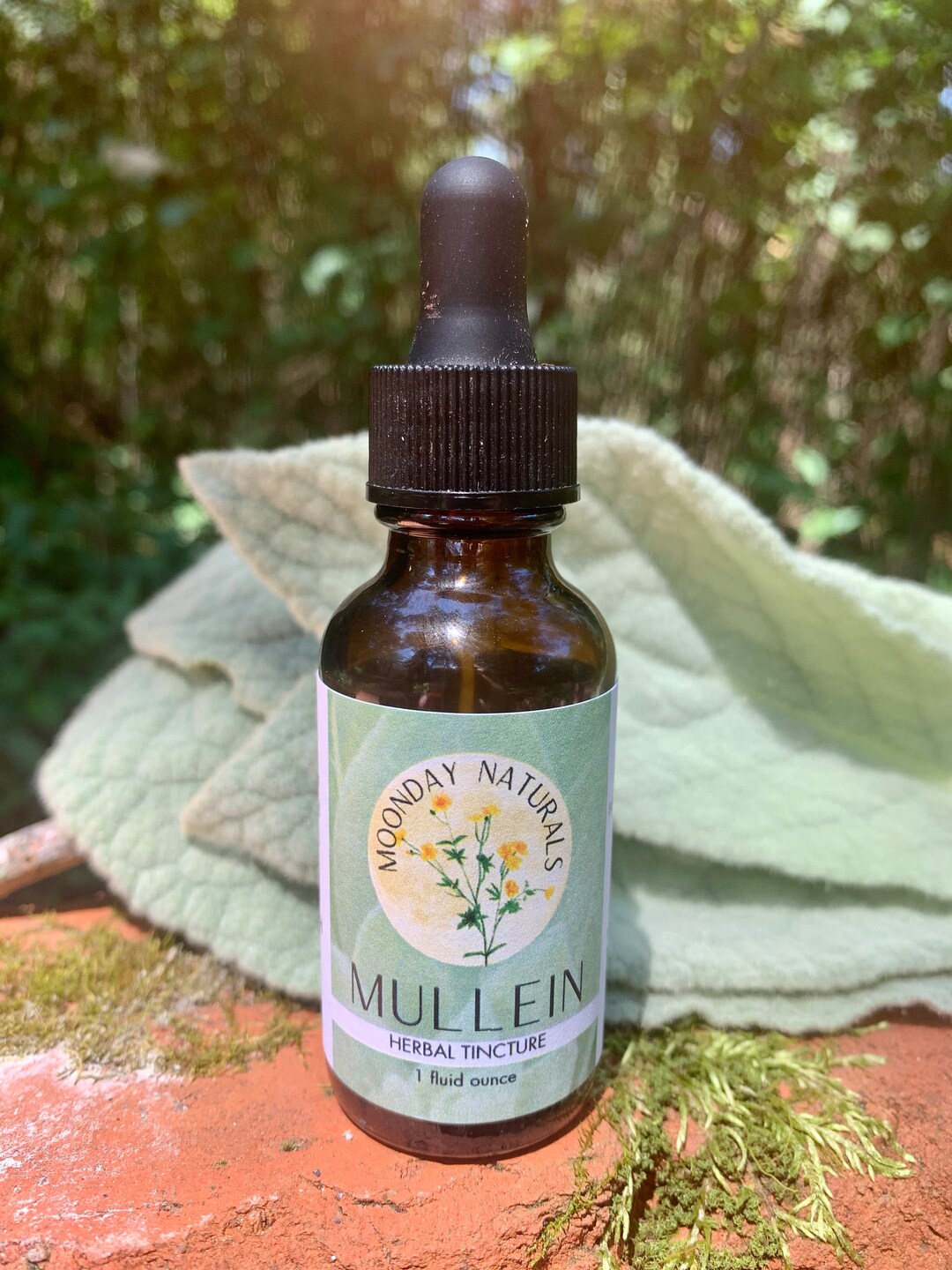 Mullein Leaf Tincture - Etsy