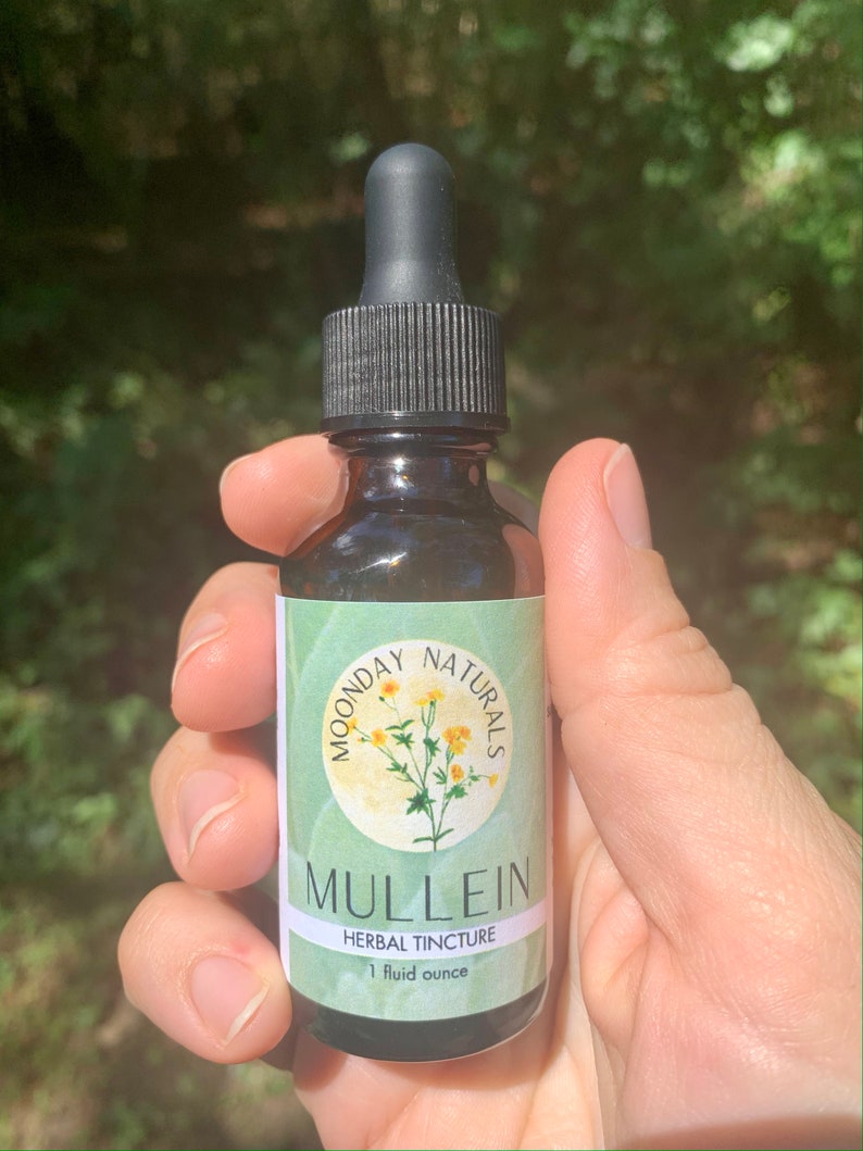 Mullein Leaf Tincture - Etsy