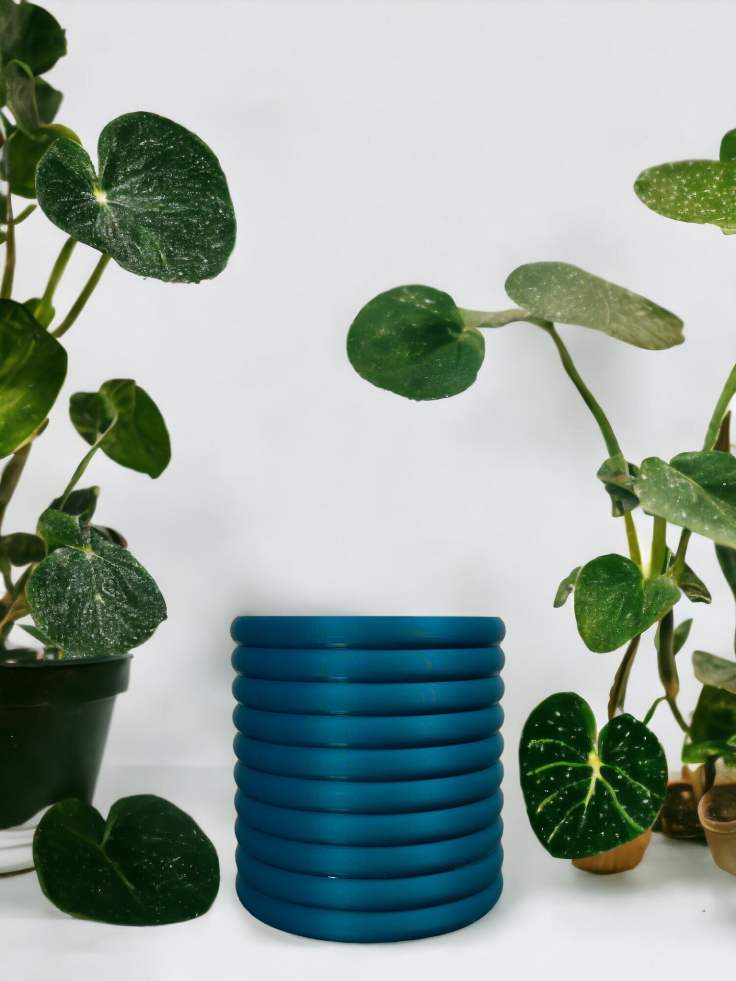 The Poppy Planter With Hidden Drip Tray in Tidal Pond Round Poppy ...