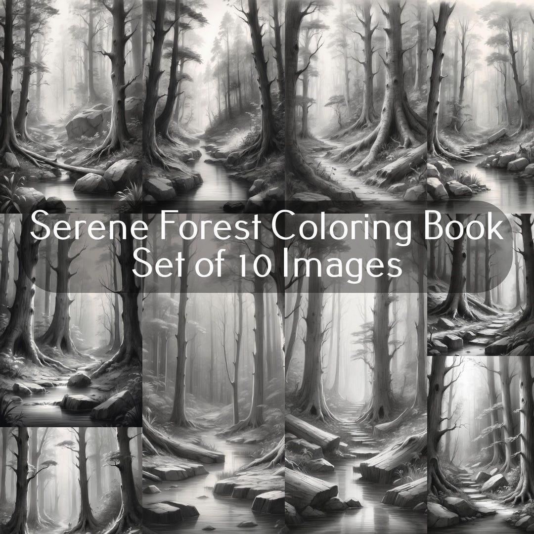 Serene Forest Greyscale Coloring Pages Digital Download Set of 10 - Etsy