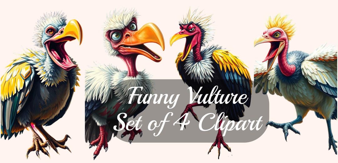 Funny Vulture Clipart Digital Art Digital Download Set of 4 PNGS - Etsy