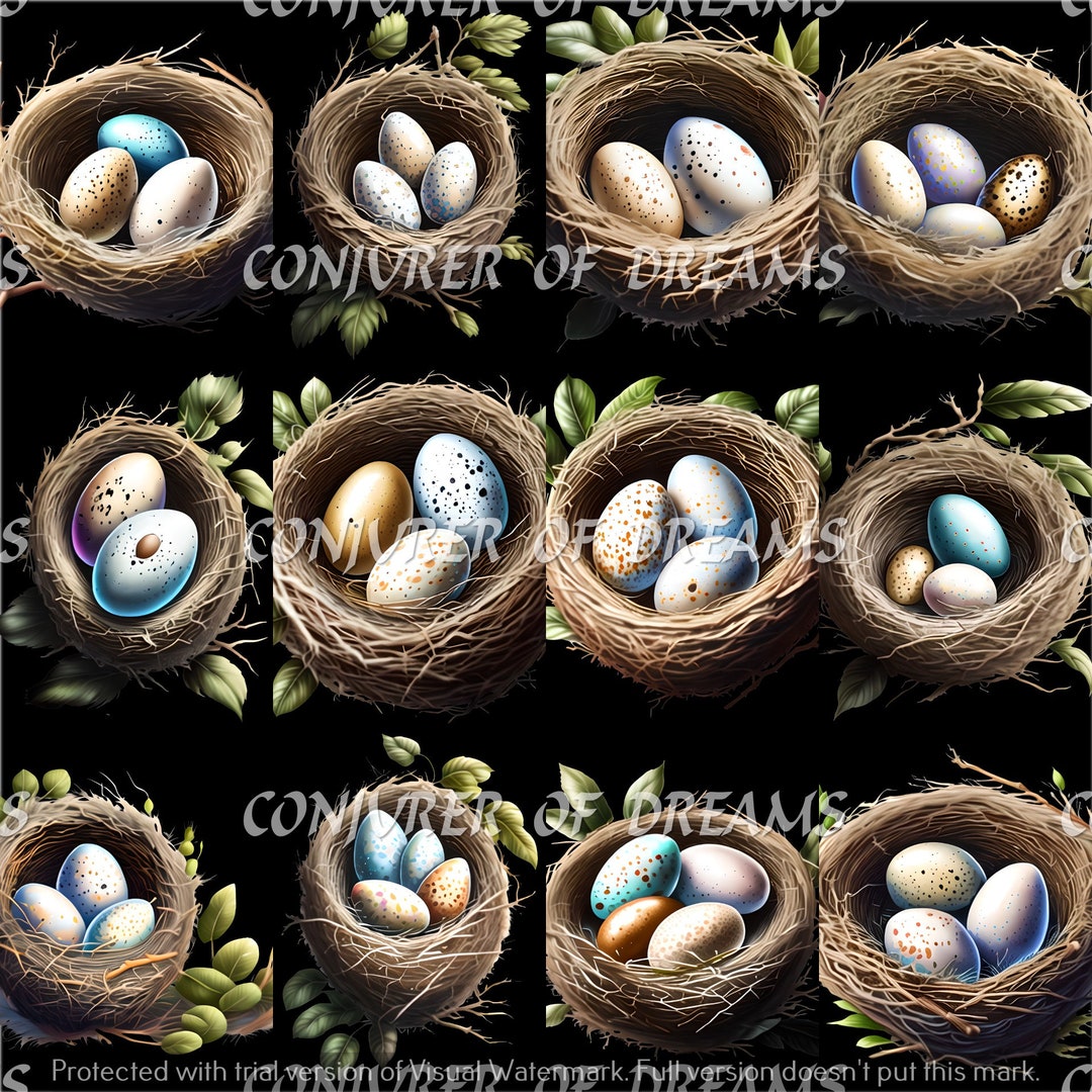 Birds Nests Clipart Set of 12 AI Art Digital Download - Etsy