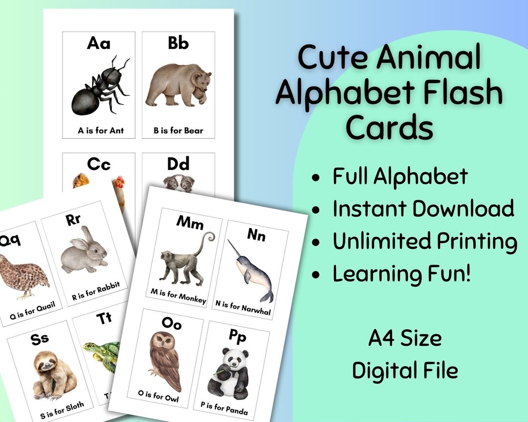Alphabet Flashcards | 26 Alphabet Cards for Letter Recognition | School ...