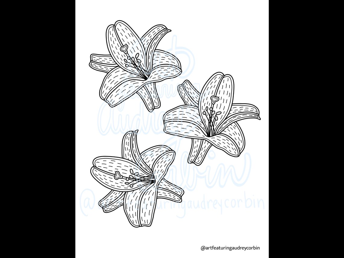 Easter Lily Flowers Coloring Page for Kids and Adults Instant Download ...