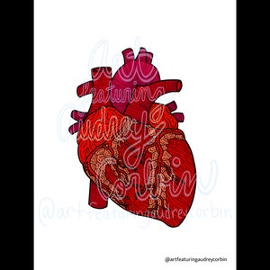 Realistic Heart Anatomy Coloring Page for Kids and Adults Instant ...