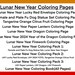 Lunar New Year Firework Coloring Page for Kids and Adults Instant ...