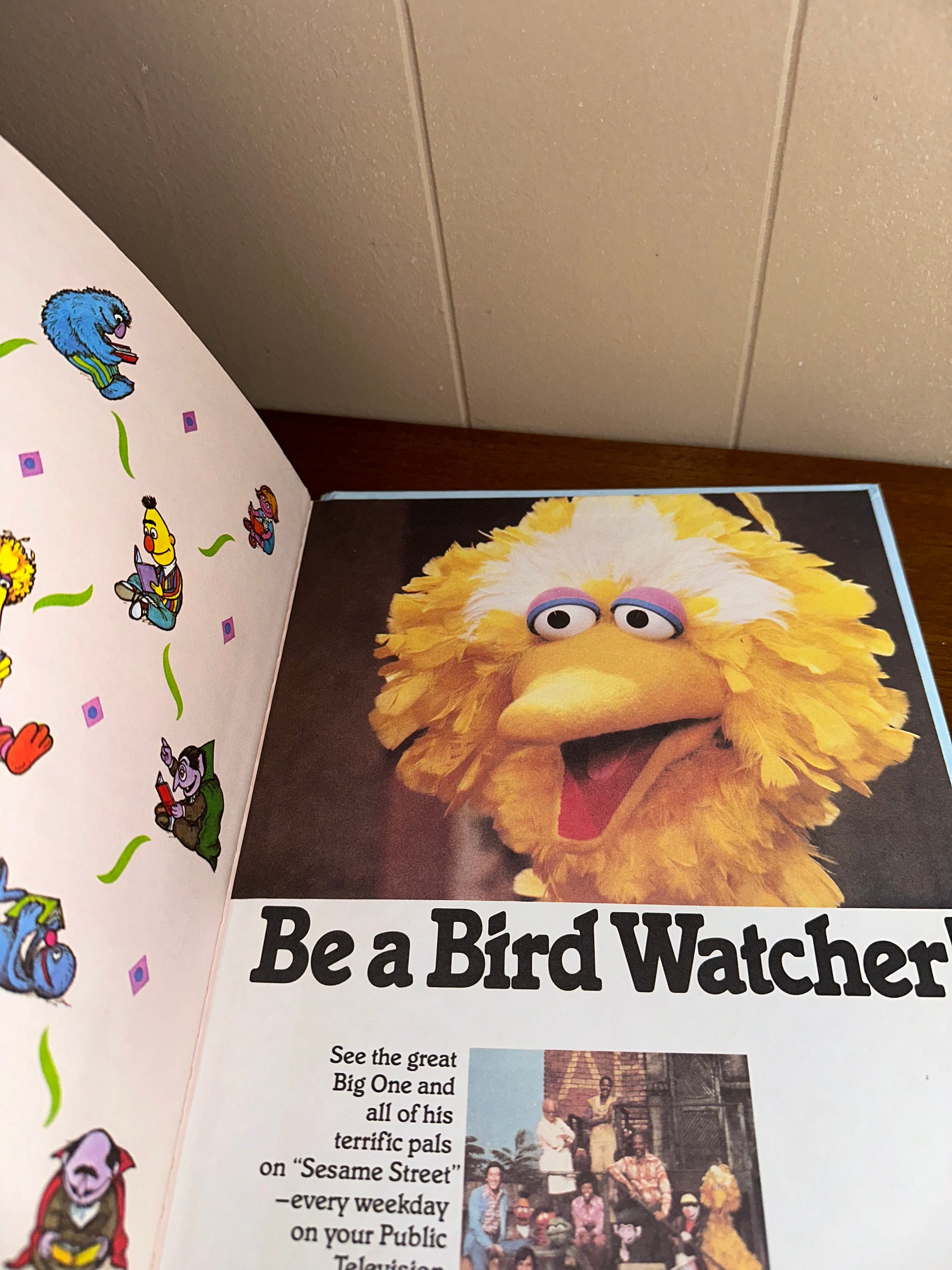 Vintage Sesame Street Book - Etsy