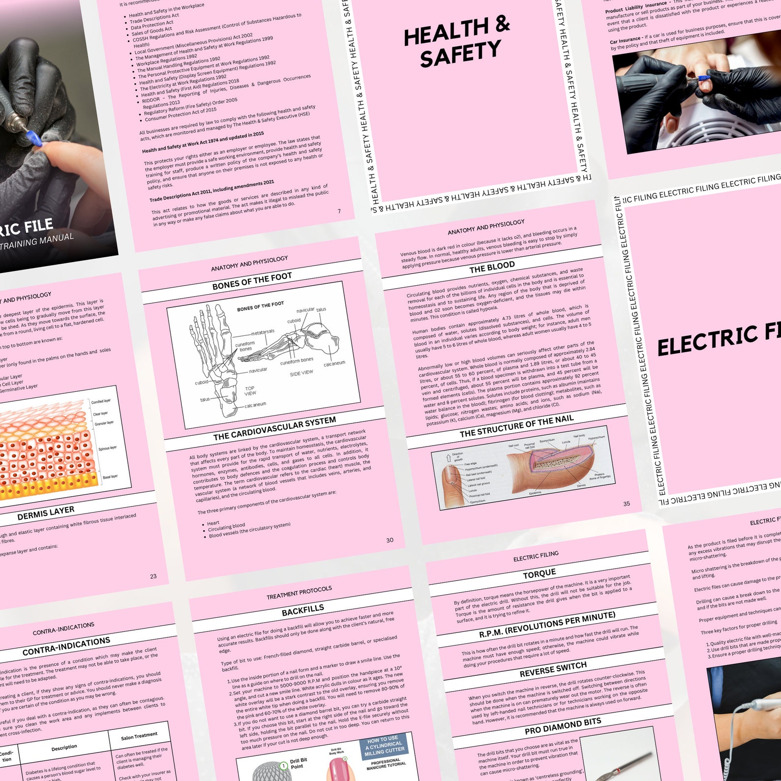 Electric File Editable Canva Training Manual - Instant Download PLUS ...