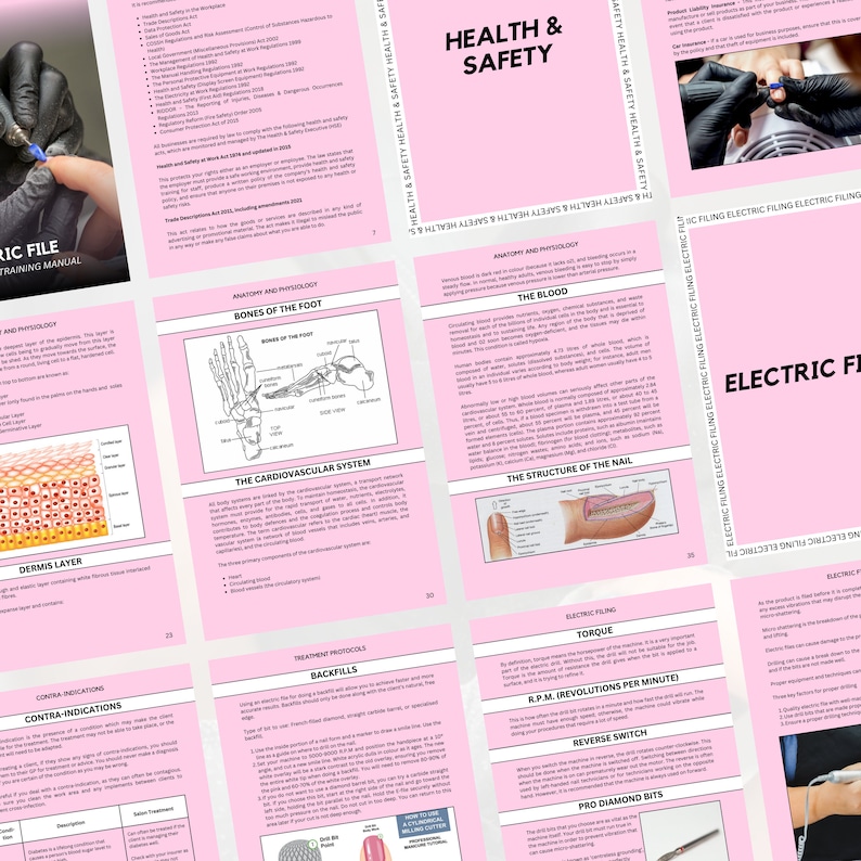 Electric File Editable Canva Training Manual - Instant Download PLUS ...