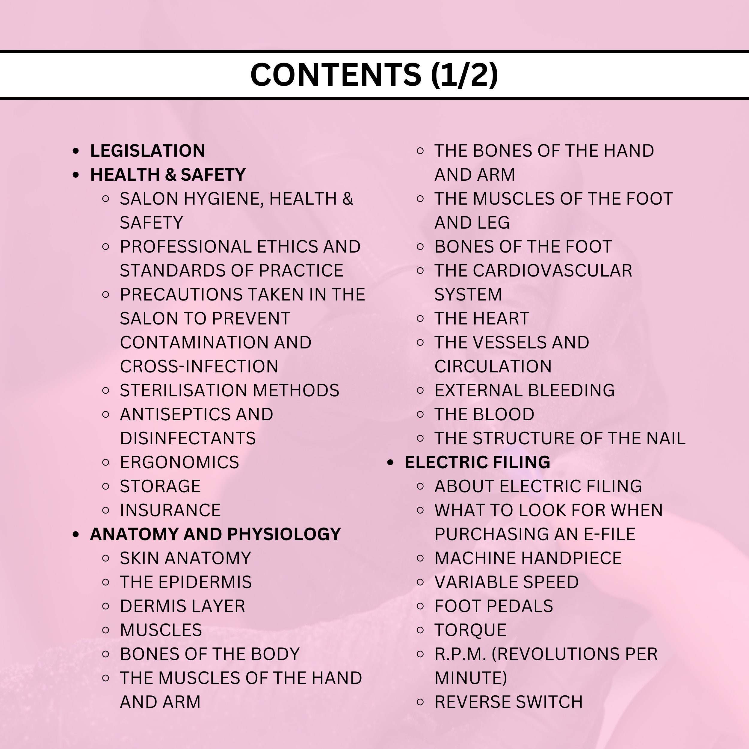 Electric File Editable Canva Training Manual - Instant Download PLUS ...