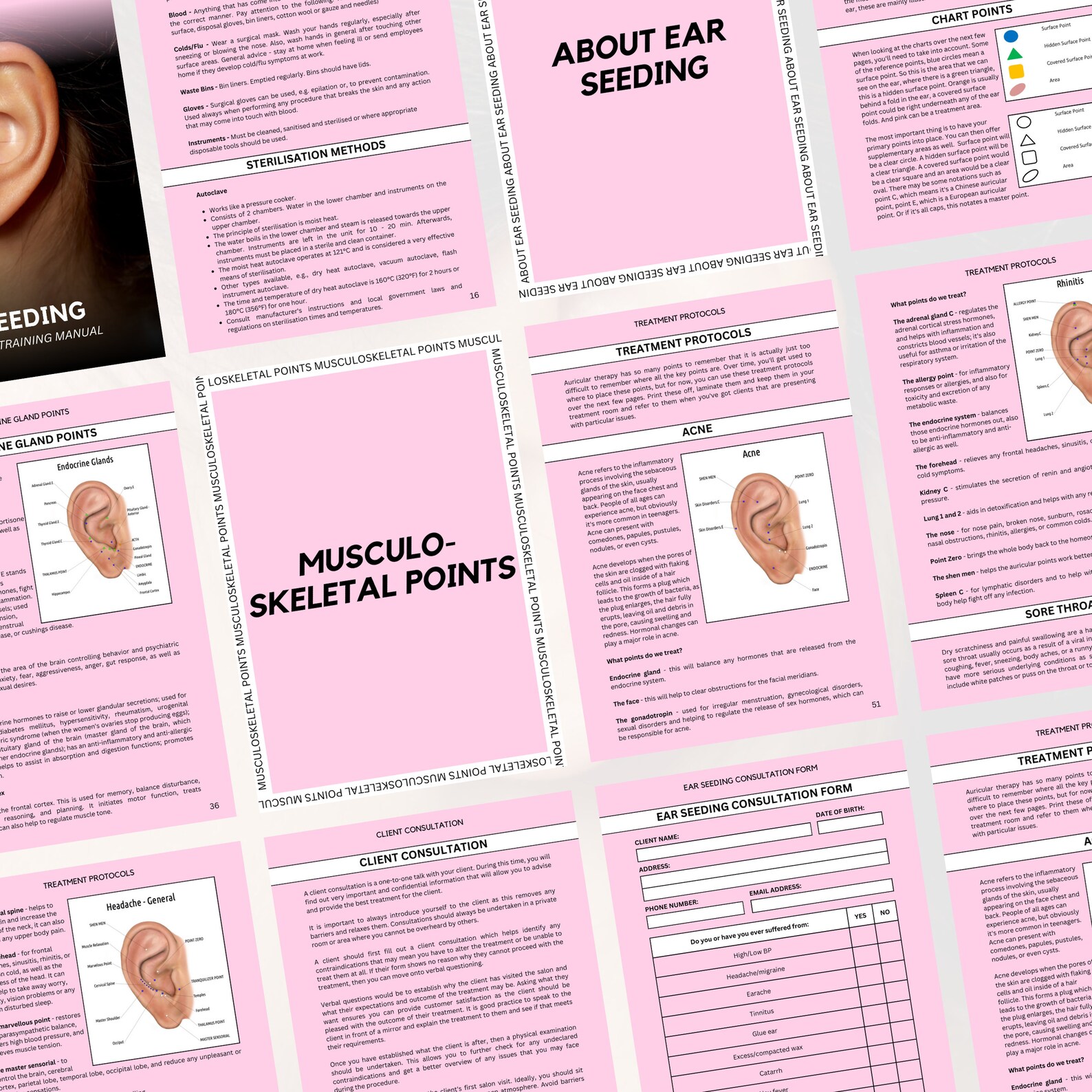 Ear Seeding Auriculartherapy Editable Training Manual - Instant ...