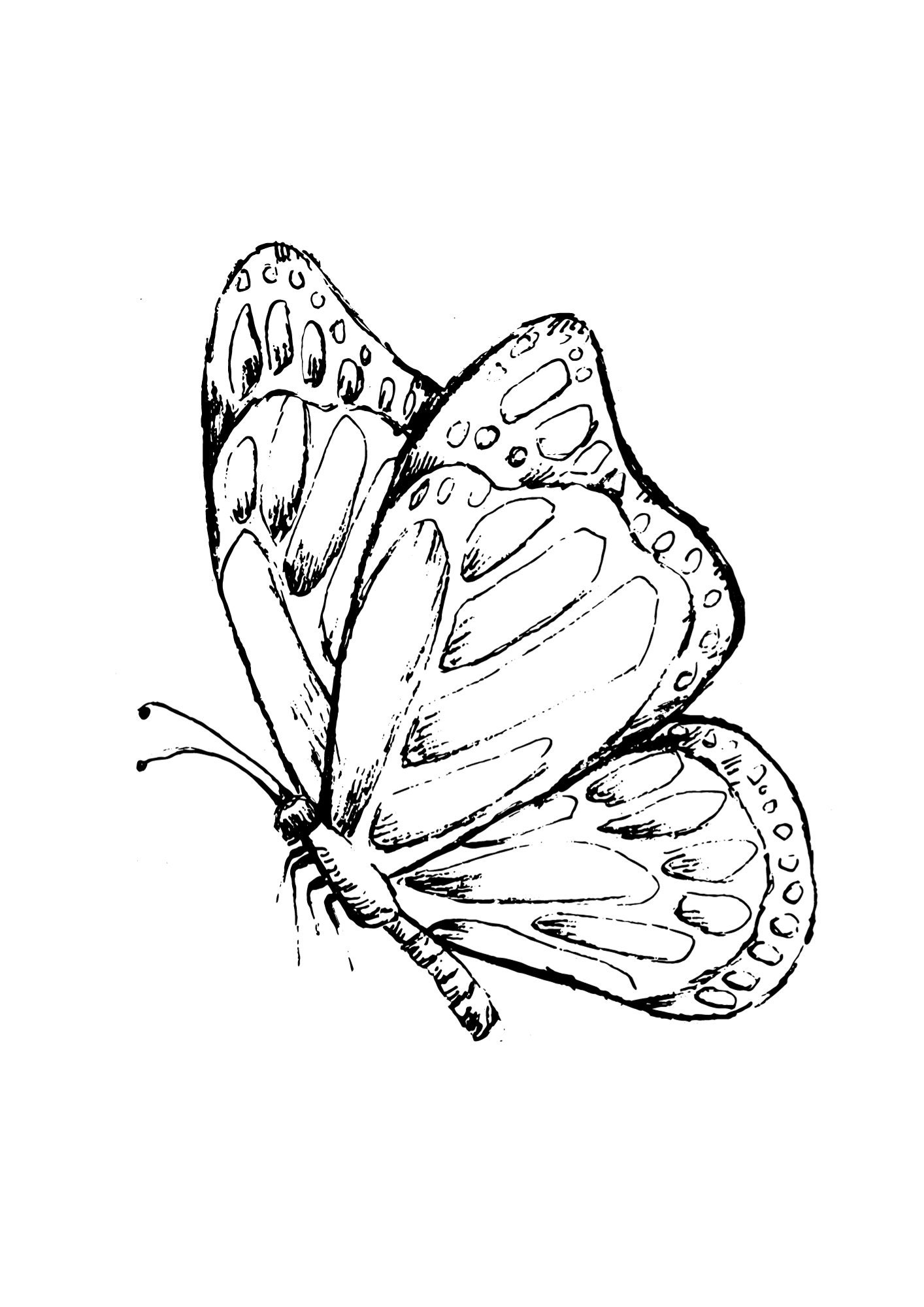 Coloring Pages of Kid's, Printable 5 PNG Files - Etsy