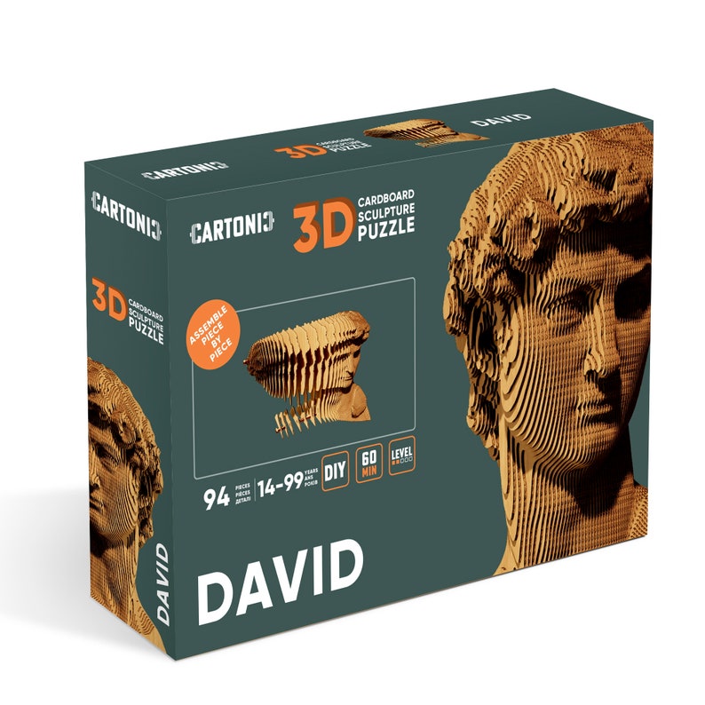 Michelangelo's David Cardboard 3D Puzzle: Eco-friendly DIY Sculpture ...