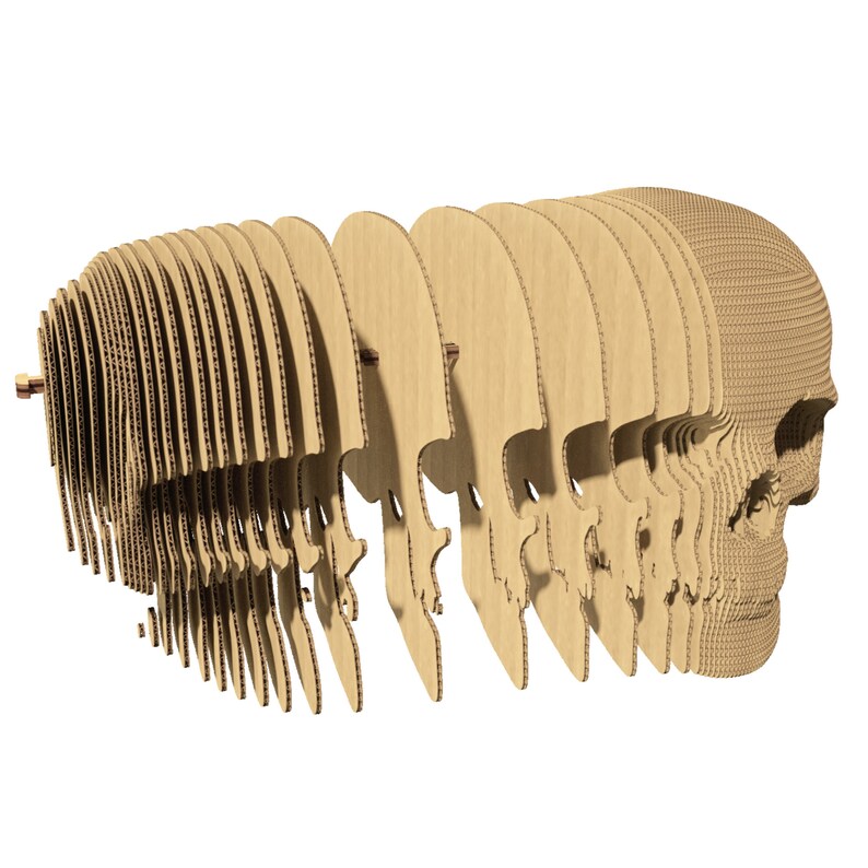 Skull Cardboard 3D Puzzle | Eco-friendly DIY Sculpture | 72 Pieces ...