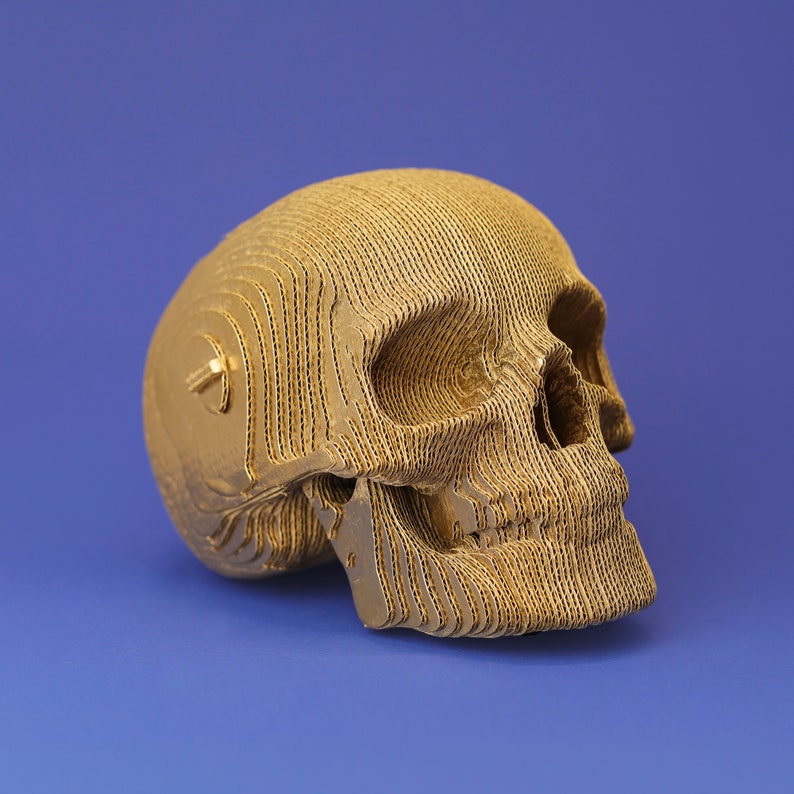 Skull 3D Puzzle: Eco-friendly Cardboard DIY Sculpture Kit by CARTONIC ...