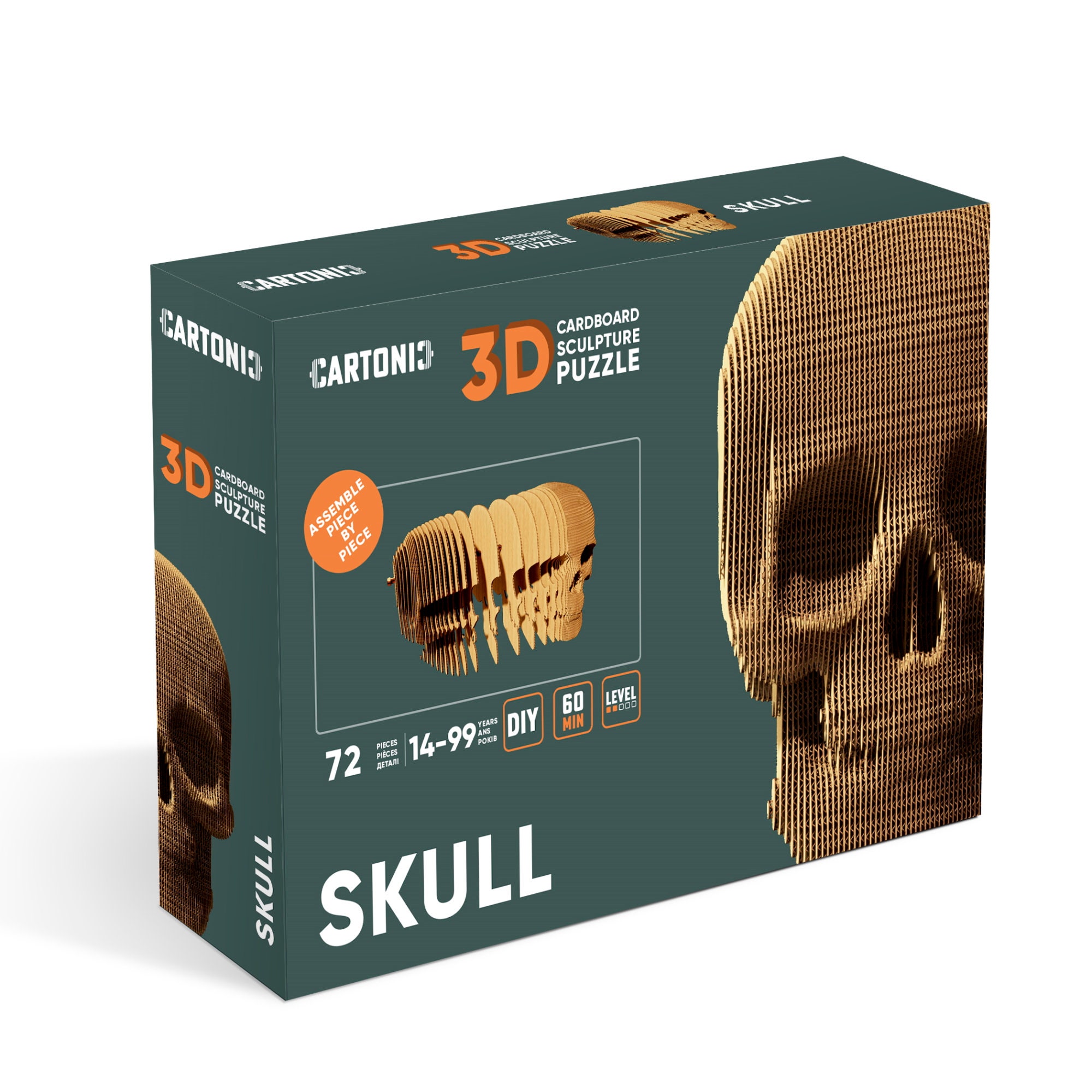 Skull 3D Puzzle: Eco-friendly Cardboard DIY Sculpture Kit by CARTONIC ...
