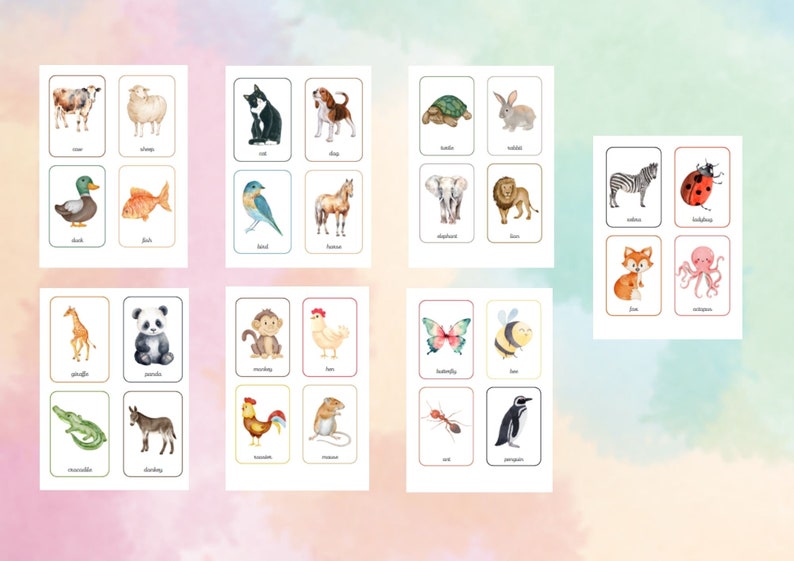 Printable Animals Fruits Vegetables Flash Cards, Montessori, Preschool ...