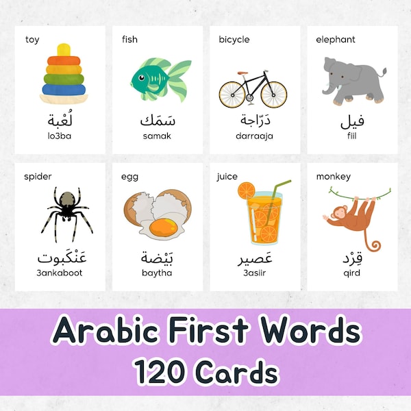 Arabic Flash Cards - Etsy