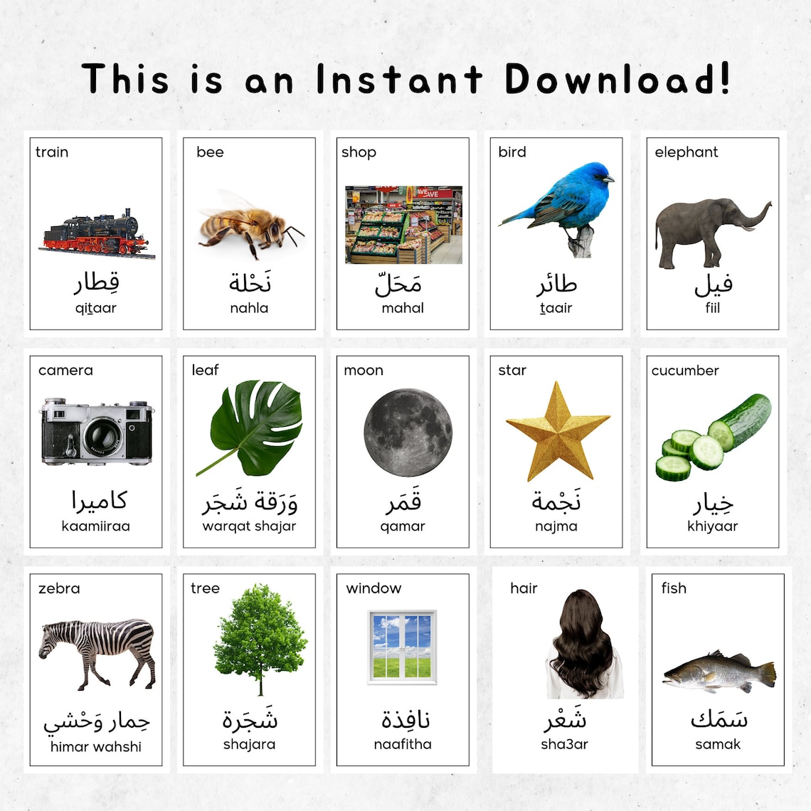 120 Realistic Arabic First Words , Flash Cards, Arabic Learning ...