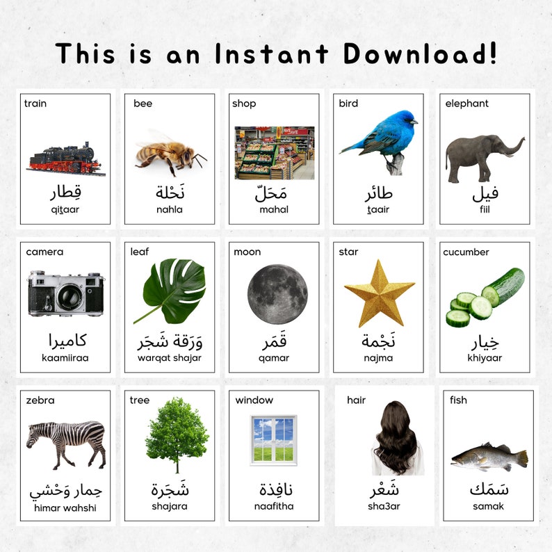 120 Realistic Arabic First Words , Flash Cards, Arabic Learning ...