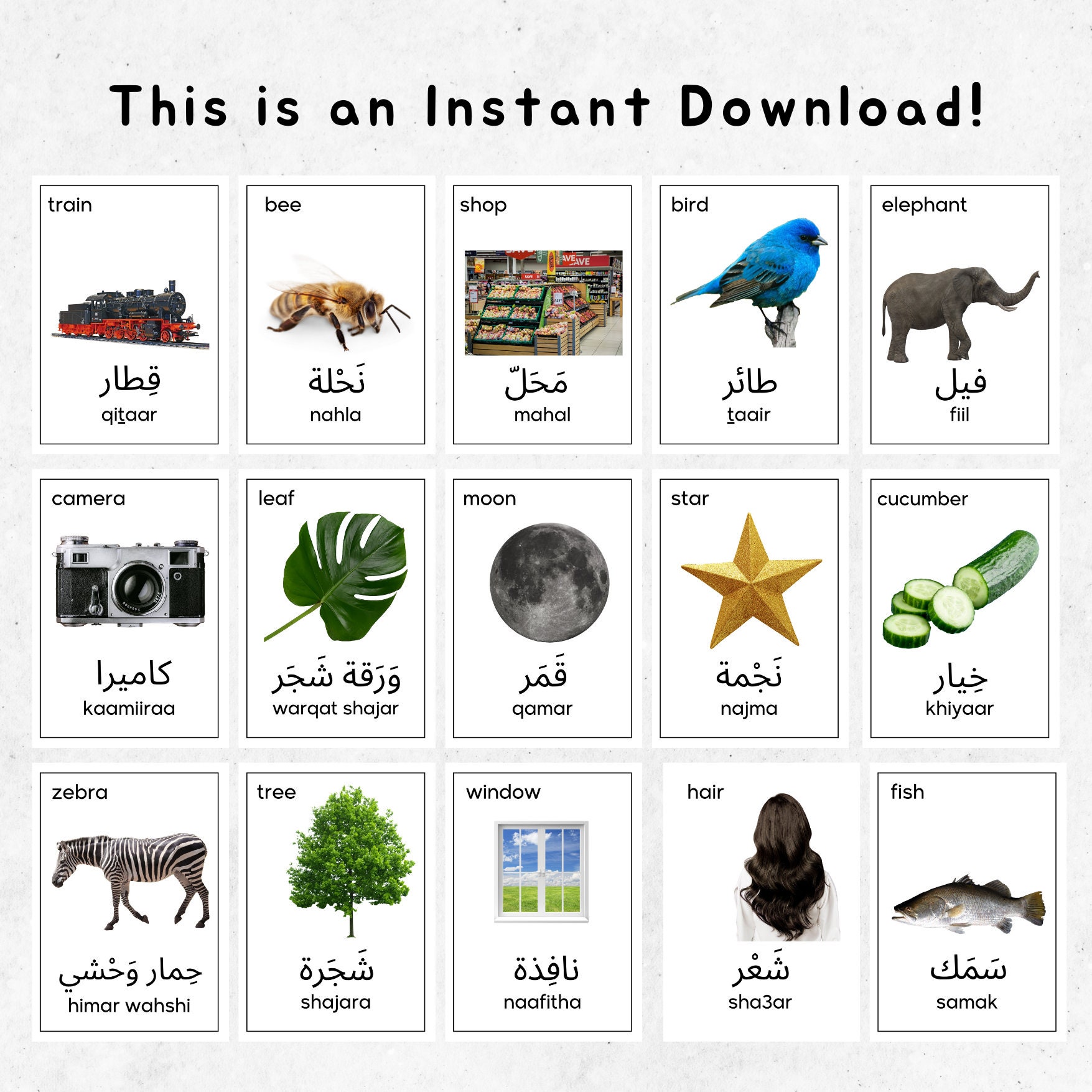 120 Realistic Arabic First Words , Flash Cards, Arabic Learning ...
