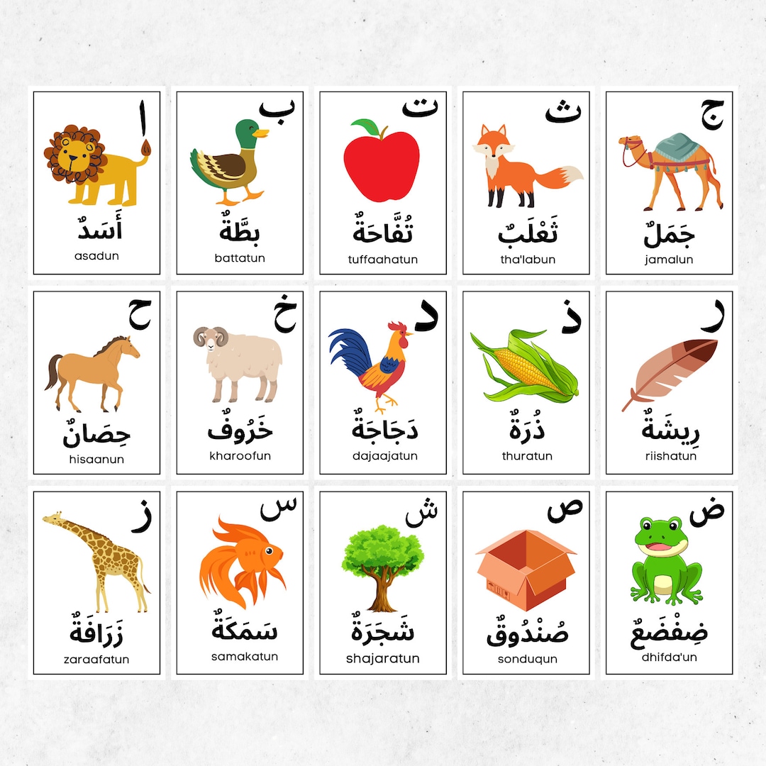 Cartes flash alphabets arabes, cartes dapprentissage des premiers mots ...