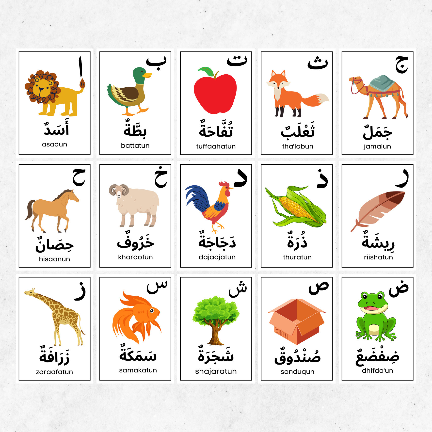 Arabic Alphabets Flash Cards, Arabic Learning First Words Cards ...