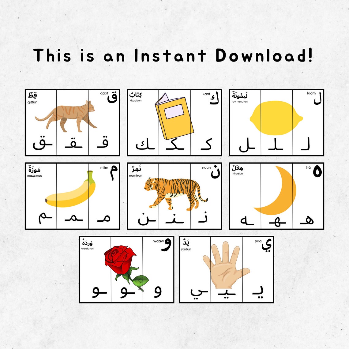 Arabic Alphabets Flash Cards Joining Alphabets Beginning - Etsy