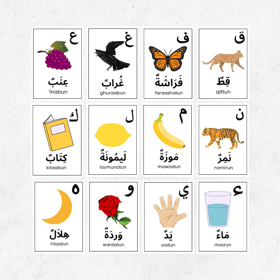 Arabic Alphabets Flash Cards, Arabic Learning First Words Cards ...