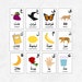 Arabic Alphabets Flash Cards, Arabic Learning First Words Cards ...