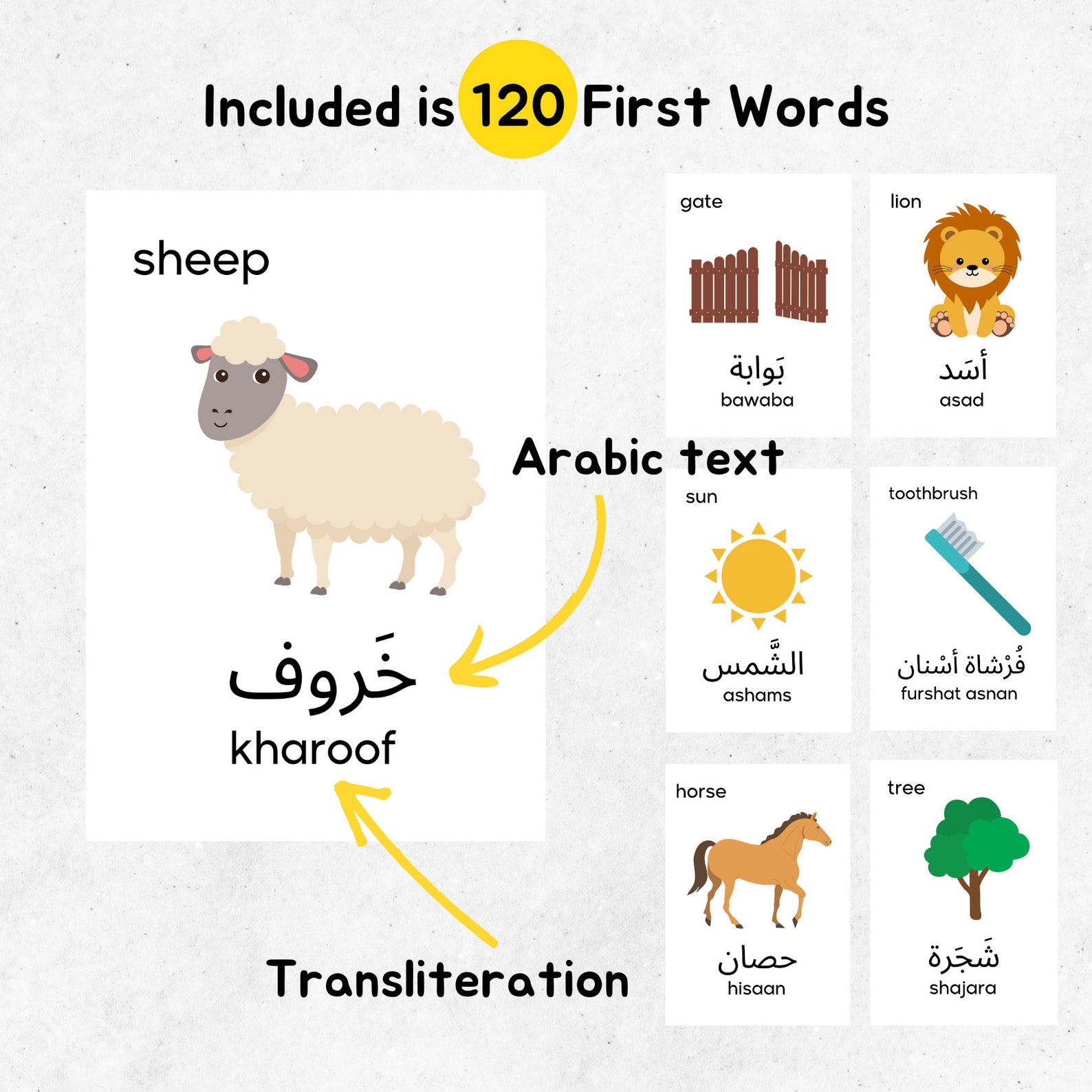 120 Arabic First Words , Flash Cards, Arabic Learning Children Muslim ...