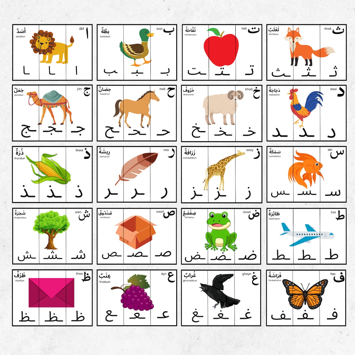 Arabic Alphabets Flash Cards, Joining Alphabets, Beginning Middle End ...
