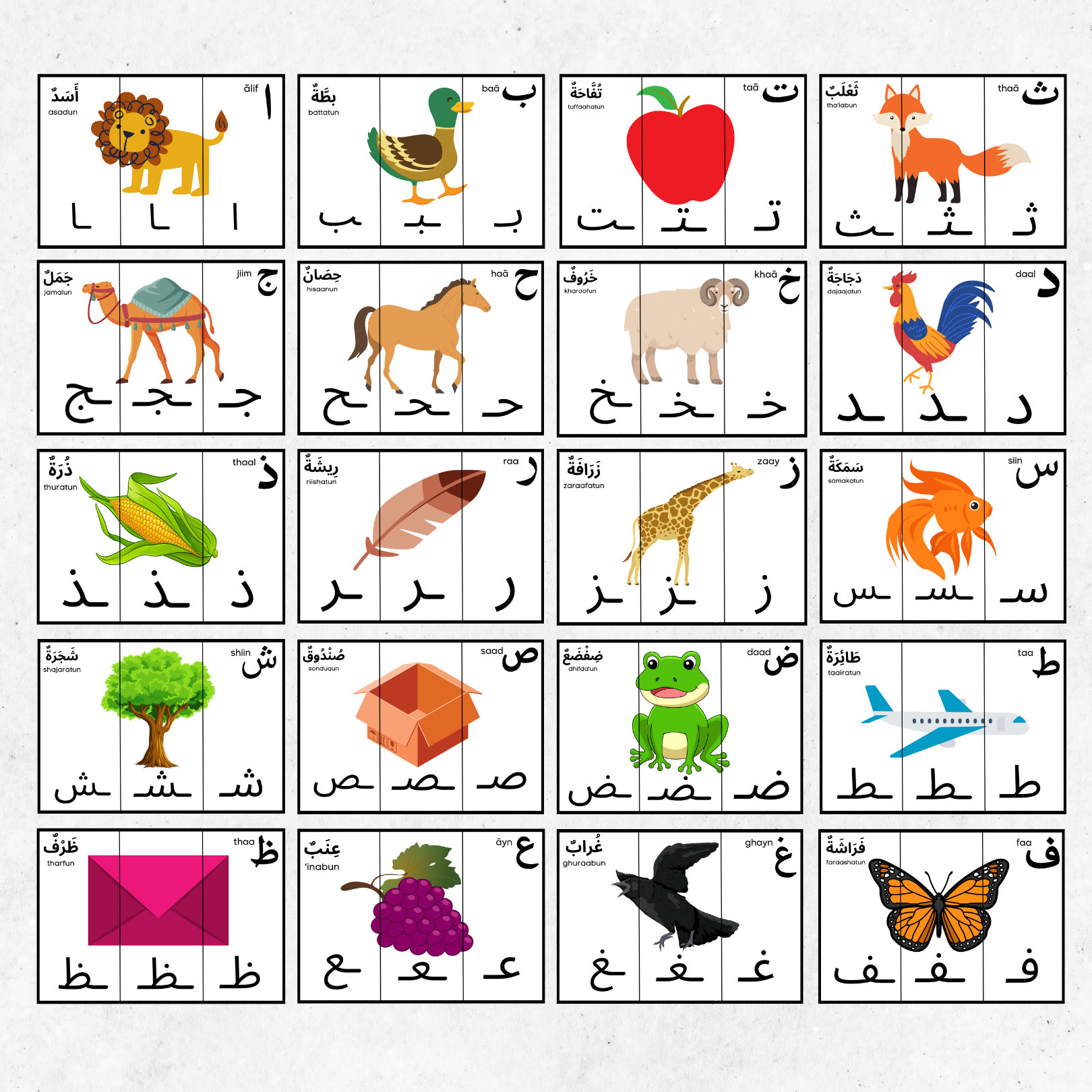 Arabic Alphabets Flash Cards, Joining Alphabets, Beginning Middle End ...