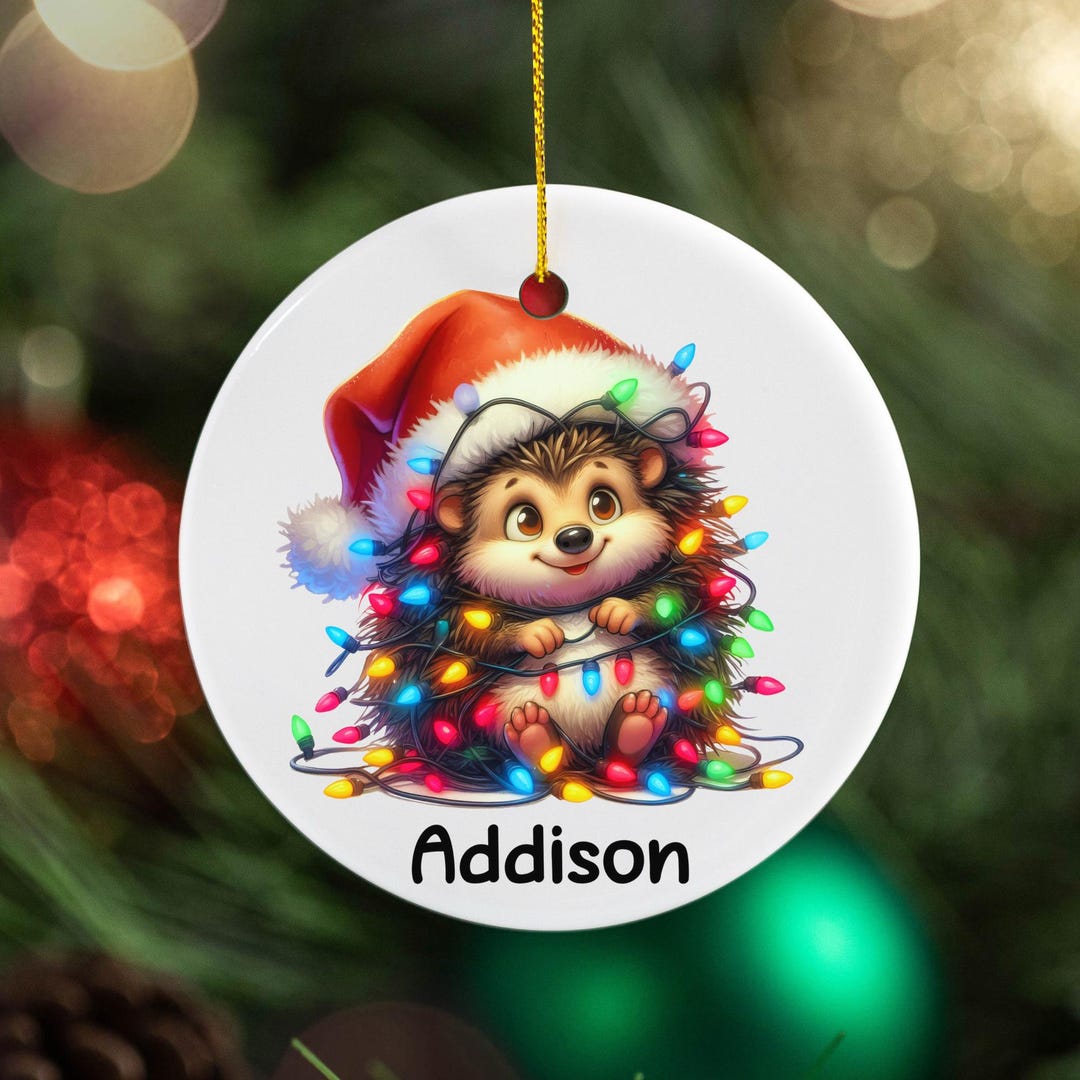 Hedgehog Christmas Ornament, Santa Hedgehog Gift, Custom Hedgehog With ...