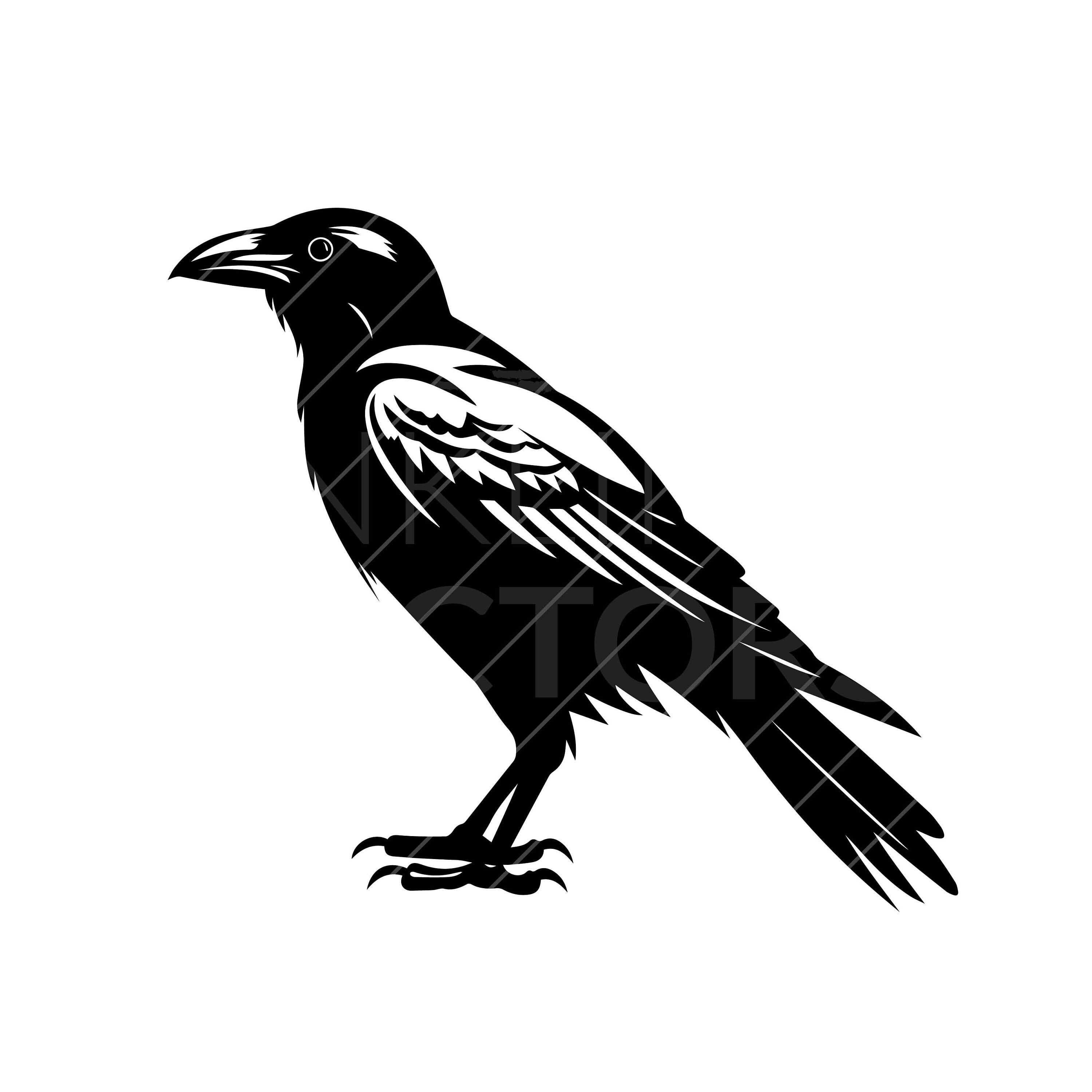 Raven Silhouette Vector SVG, Black Crow Clipart, Black Bird ...