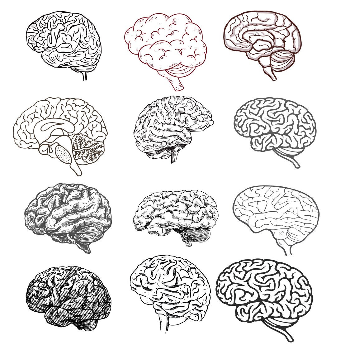 Human Organs Svg File Anatomical Human Organs Floral Heart Svg Human ...