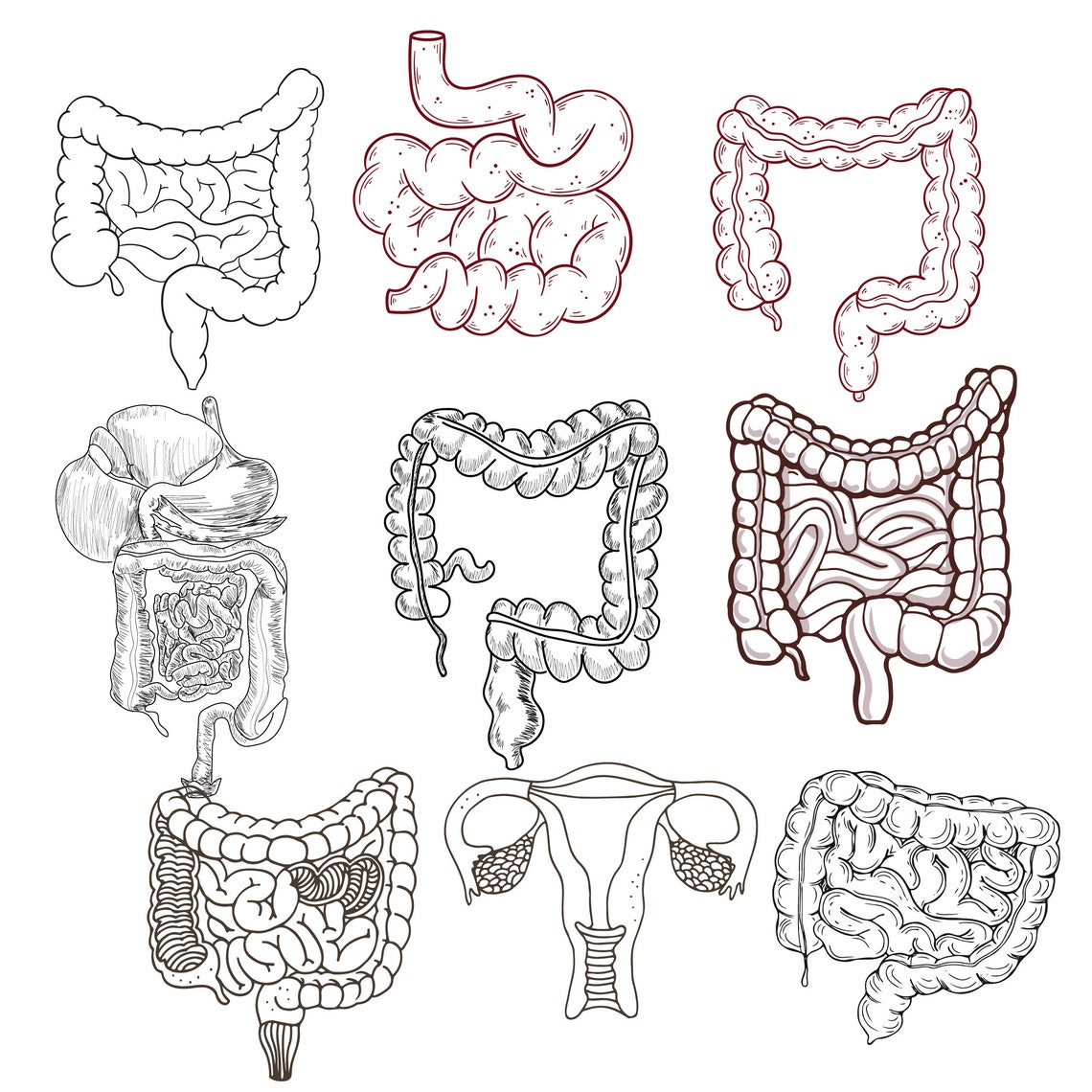 Human Organs Svg File Anatomical Human Organs Floral Heart Svg Human ...