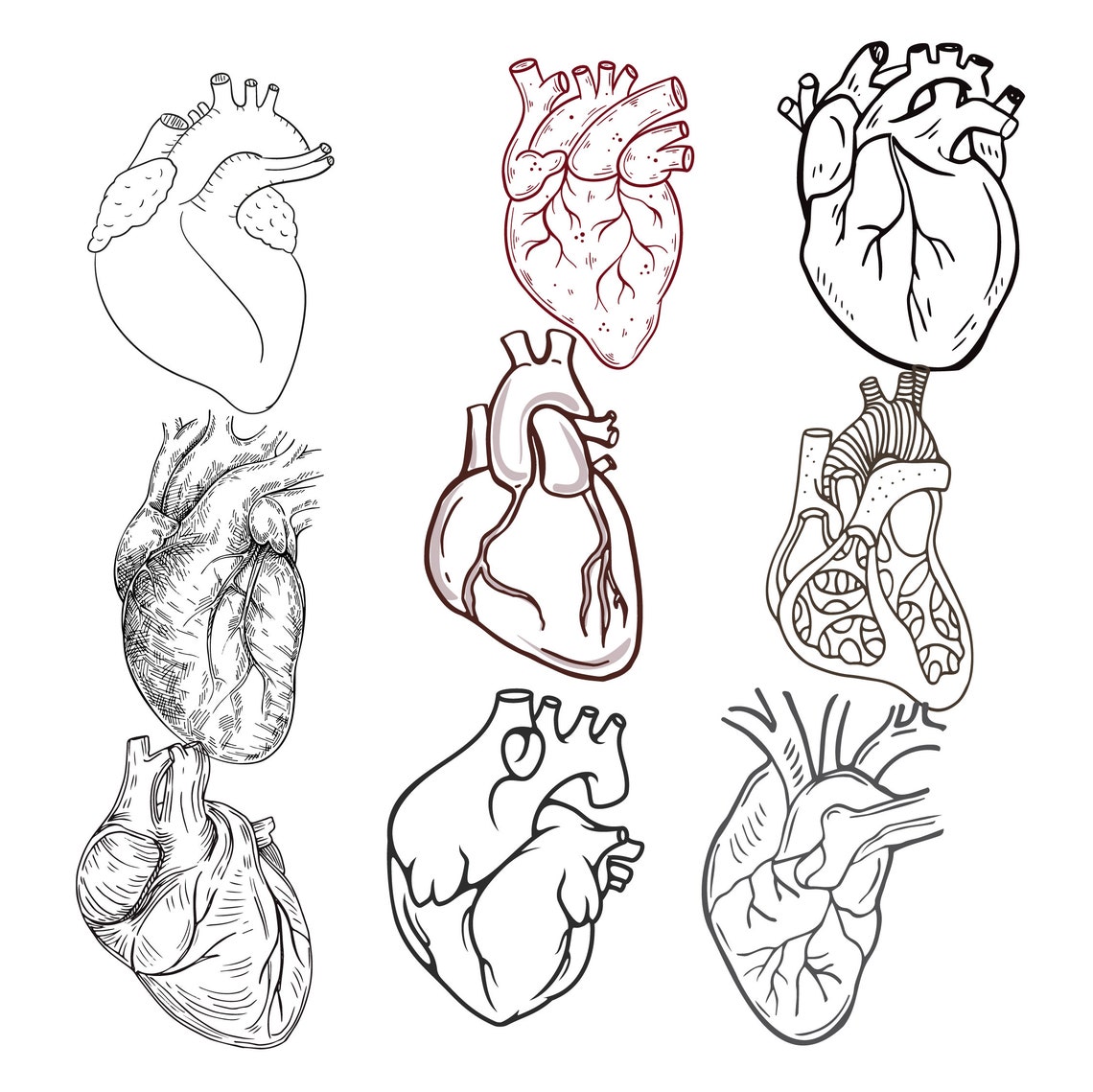 Human Organs Svg File Anatomical Human Organs Floral Heart Svg Human ...
