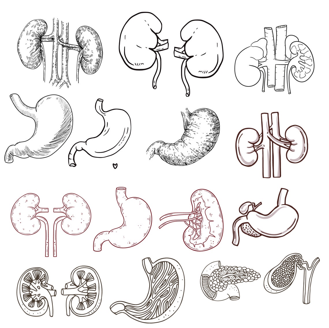 Human Organs Svg File Anatomical Human Organs Floral Heart Svg Human ...