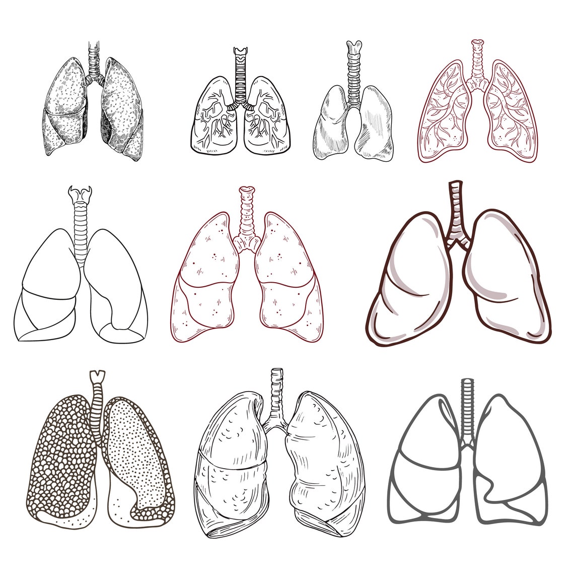Human Organs Svg File Anatomical Human Organs Floral Heart Svg Human ...