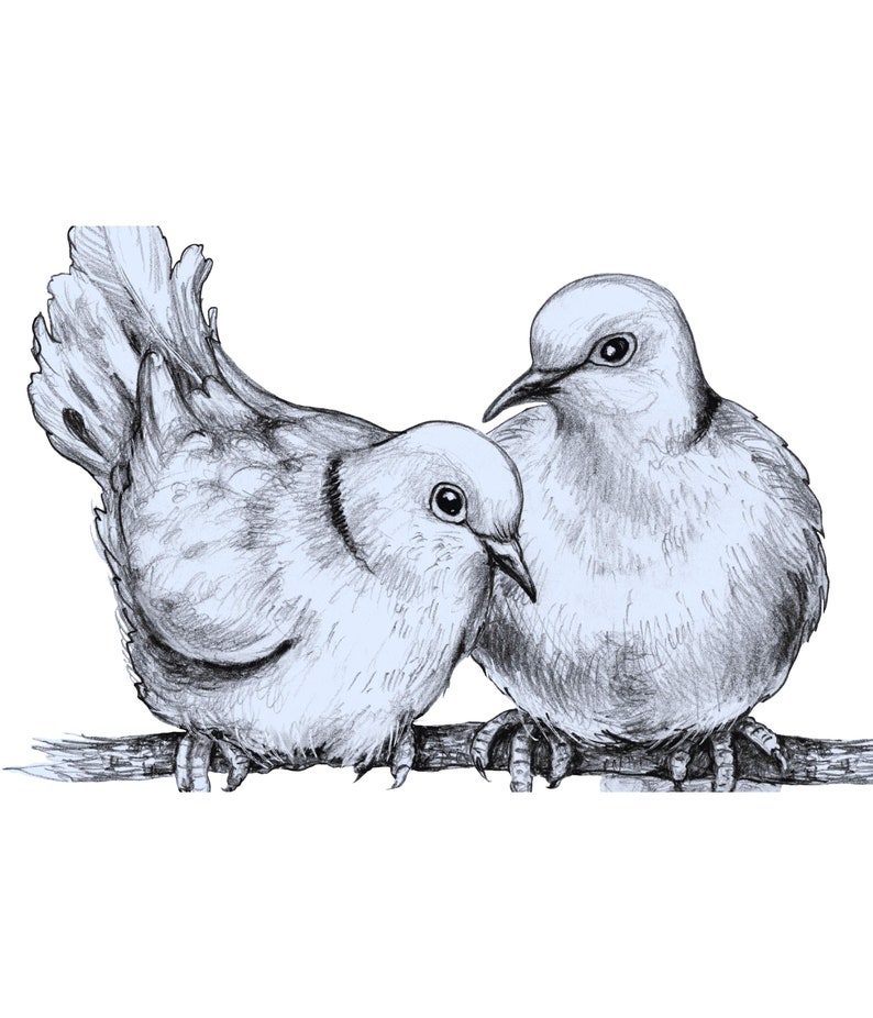 Dove Digital Design Bundle, Peaceful Bird Art (PNG, SVG, JPG) - Etsy